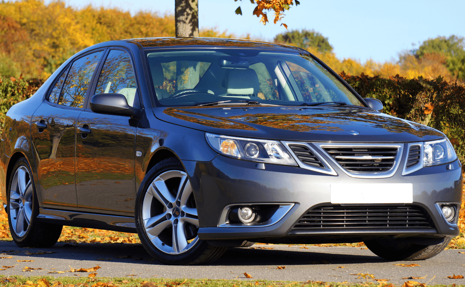 Import Car From Australia to NZ | Willship International